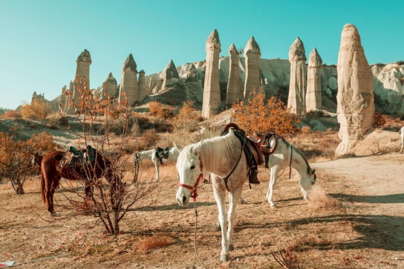 Istanbul to Cappadocia All Inclusive Private Day Tour - A Full Breakdown: What to Expect from This Tour
