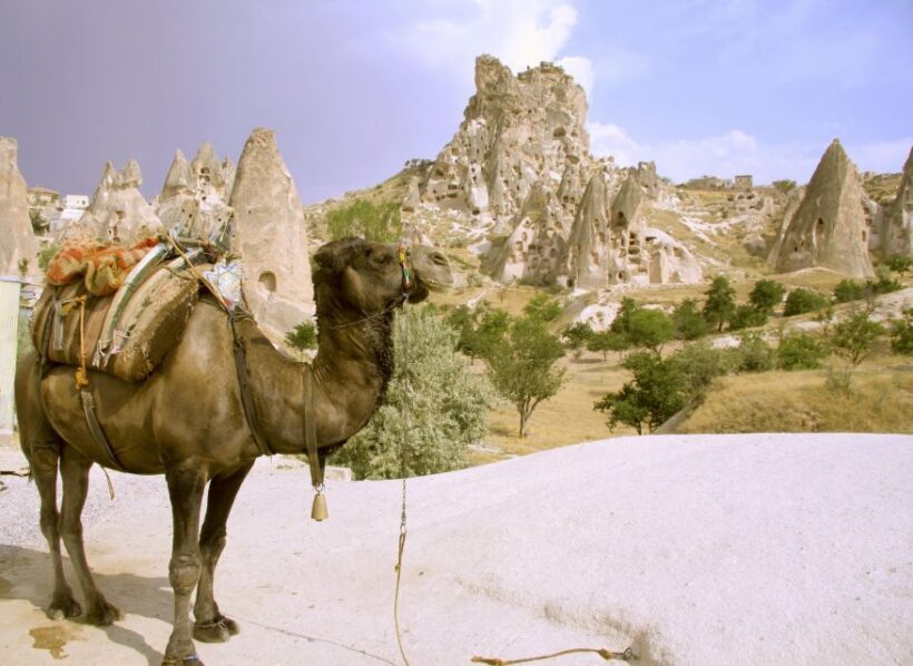 Istanbul to Cappadocia All Inclusive Private Day Tour - FAQs