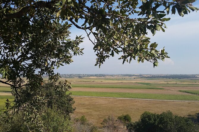 Istanbul to Truva Troy Tour Review - Highlights and Takeaways