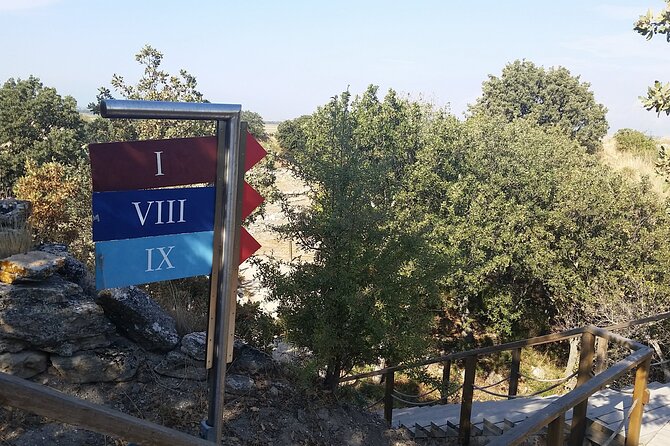 Istanbul to Truva Troy Tour Review - Value and Recommendations