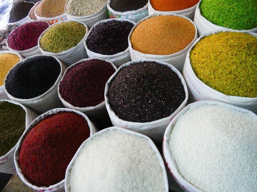 Istanbul: Traditional Street Food Tour - Final Thoughts