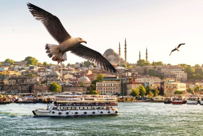 Istanbul: True Discovery Full-Day Tour and Cruise - Introduction: What’s on Offer and Who It Suits
