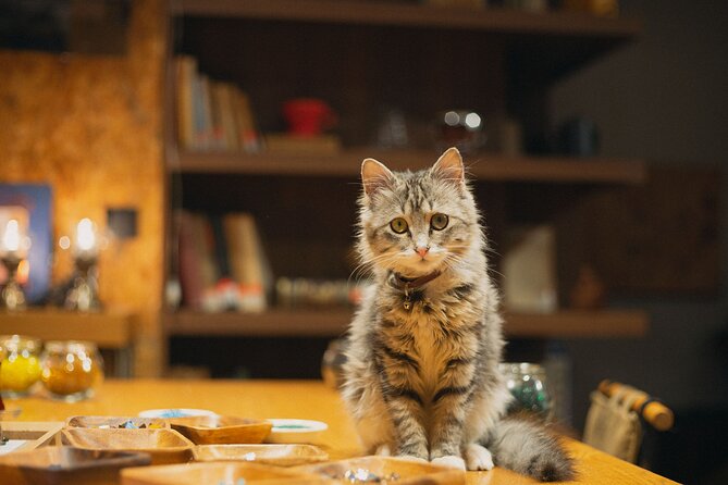 Istanbul Turkish Mosaic Lamp Workshop in Old Town - Crafting Your Own Unique Mosaic Lamp