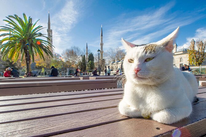 Istanbul Walking Tour with Audioguide on Your Smartphone - The Sum Up