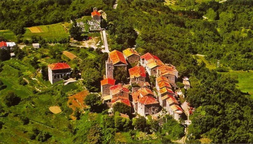 Istria Highlights Tour from Rijeka or Pula - What Travelers Say: Authentic Experiences and Minor Drawbacks