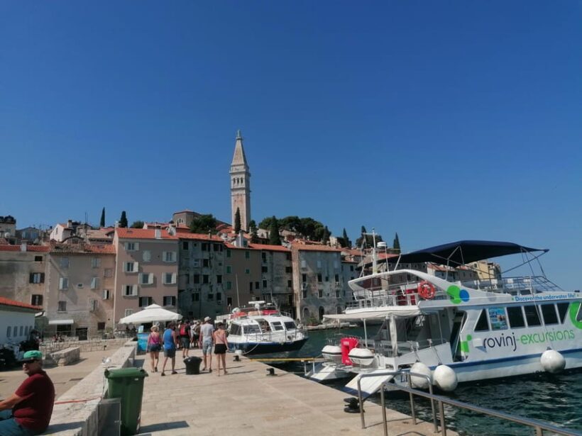 Istria in One Day: Private Tour with Wine & Oil Tasting - FAQ
