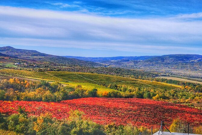 Istria Original Tuscany Rovinj, Pula, Hum - Tour From Zagreb - Tour Inclusions