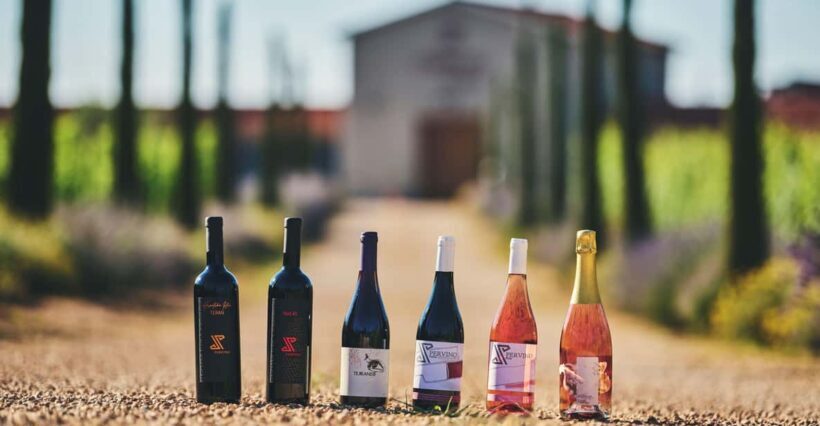 Istria: Pervino wine tasting - Why This Tour Offers Great Value