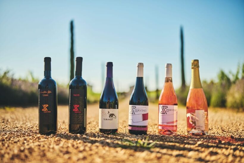 Istria: Pervino wine tasting - Who Should Consider This Experience?