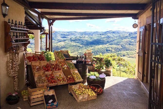 Istria Private Day Trip - Transportation and Logistics