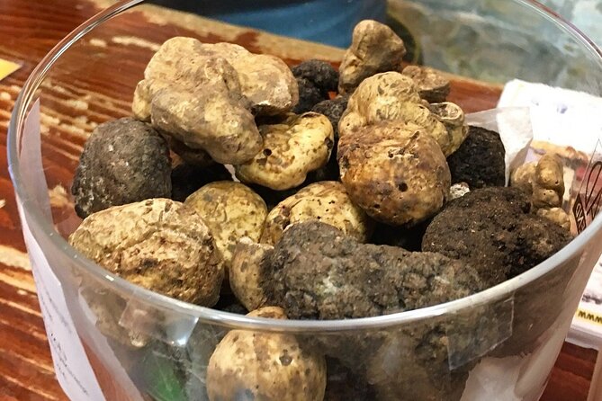 Istria Private Day Trip - Inclusions of the Tour