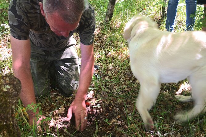 Istria - Truffles: Hunting & Cooking & Tasting, Slovenia - Appreciating the Local Malvasia Wine