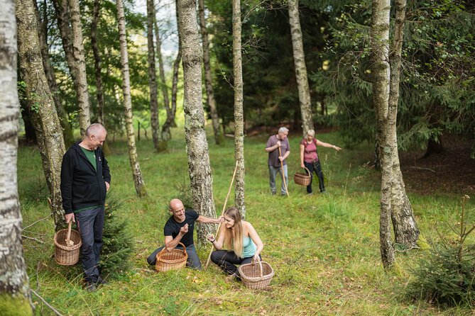 It Smells Like Mushrooms - The Sum Up