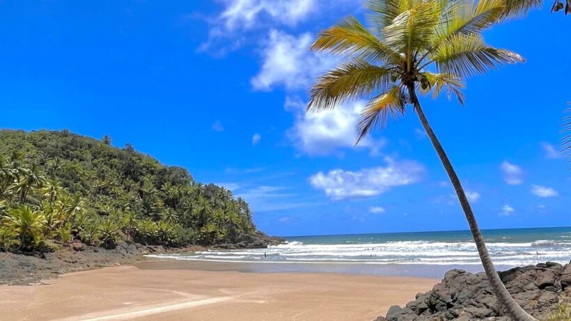 Itacare: 4 Beaches Trail and Tijuipe Waterfall - The Sum Up