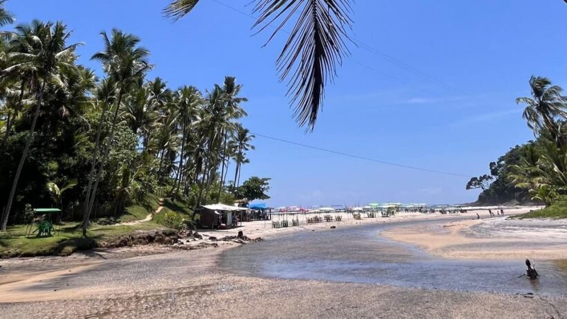 Itacare: Jeribucaçu Trail and Usina Waterfall - Key Points