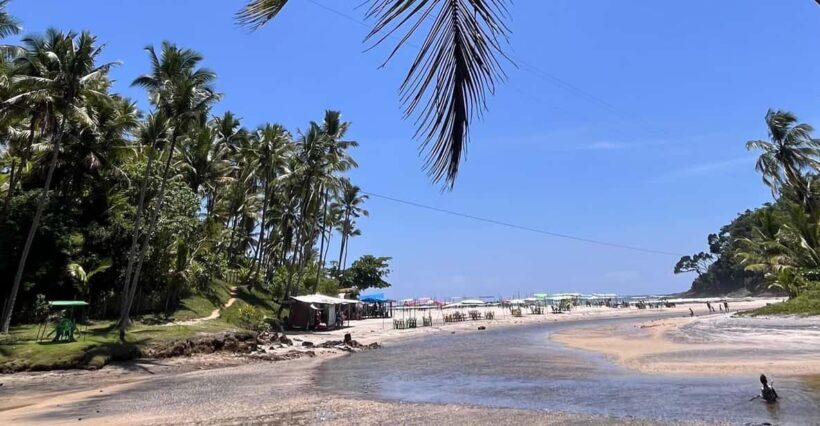 Itacare: Jeribucaçu Trail and Usina Waterfall - An In-Depth Look at the Itinerary