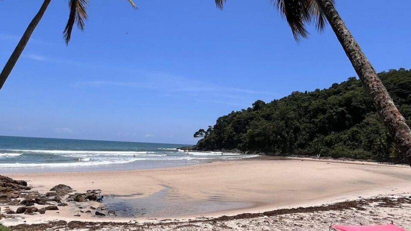 Itacare: Jeribucaçu Trail and Usina Waterfall - Who Will Love This Tour?