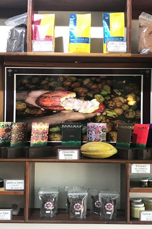 Itacare: Tour to the Vila Rosa Cocoa Farm - Key Points