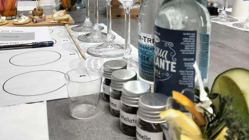 Italian Gin tasting - Key Points