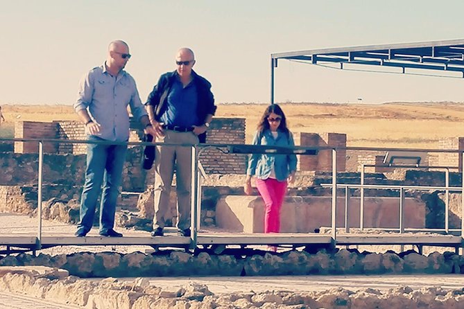 Italica 2-Hour Private Guided Tour - Meeting Point and Tour Logistics