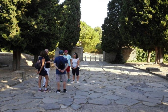 Italica 2-Hour Private Guided Tour - Historical Significance of Italica