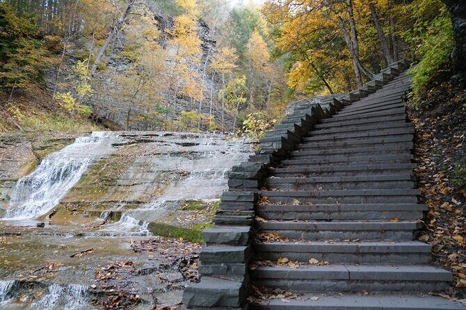 Ithaca Family Adventure: Fun & Discovery Walk - What Travelers Can Expect