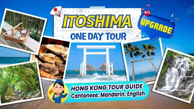 Itoshima Scenic TourTotoro Forest, Falls & Ocean View Spots - Final Thoughts: Who Will Love This Tour?
