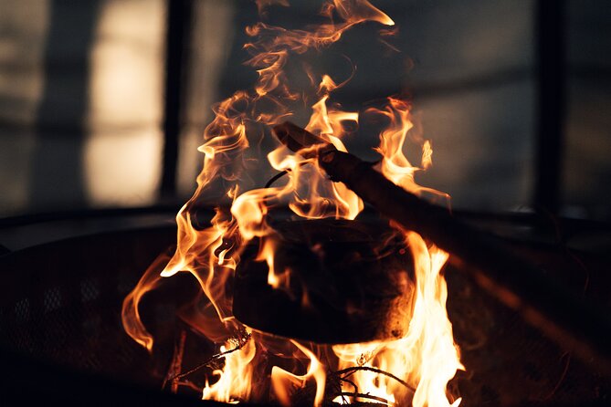 Ivalo: Aurora Hunting with Reindeer - Key Points