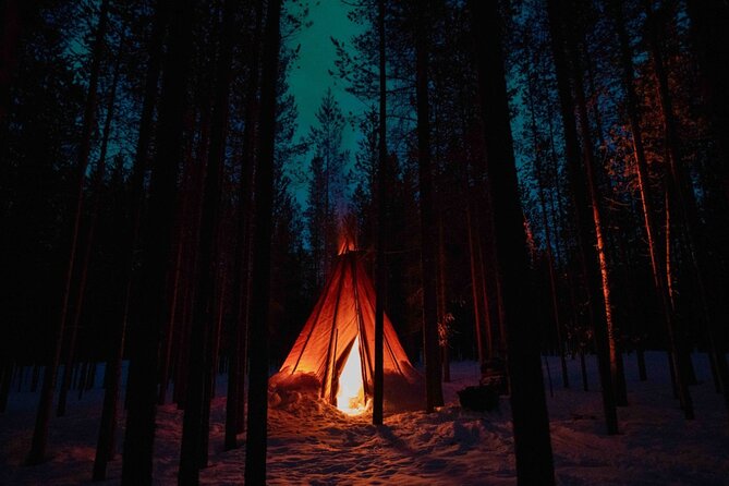 Ivalo: Aurora Hunting with Reindeer - Aurora Viewing: A Natural Wonder