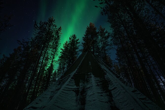 Ivalo: Aurora Hunting with Reindeer - Why This Tour Offers Great Value
