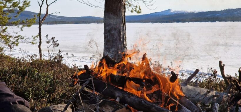 Ivalo:Sleighride Tour and Fishing on a Lake in the Wild - Who Is This Tour Best Suited For?