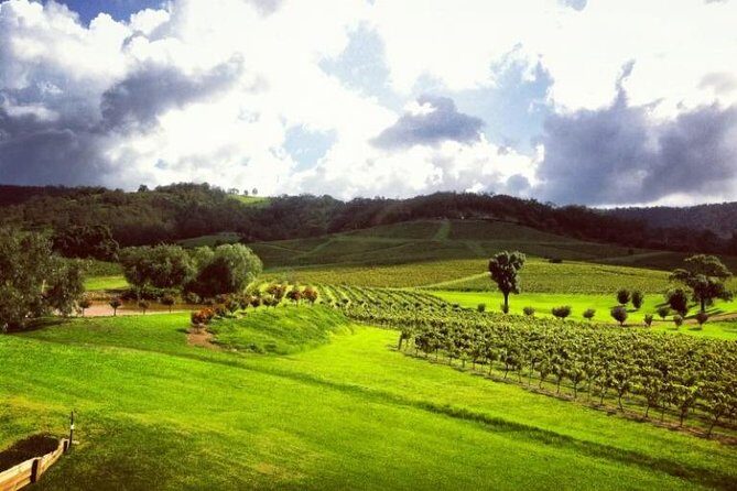 Ivanhoe Wines: Trip Advisor Premium Wine Tasting - Booking and Practical Tips