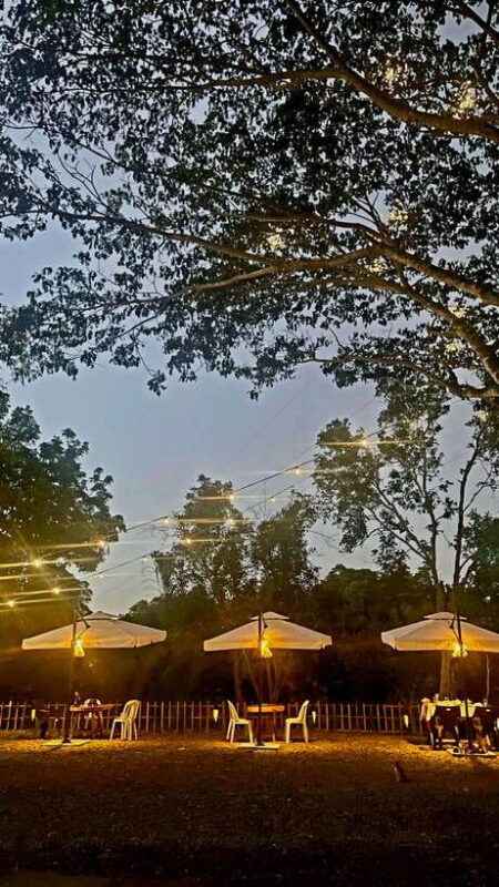 Iwahig River Cruise Firefly Watching - Key Points