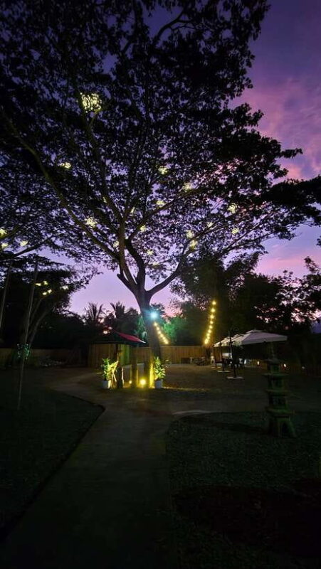 Iwahig River Cruise Firefly Watching - The Experience from a Travelers Perspective