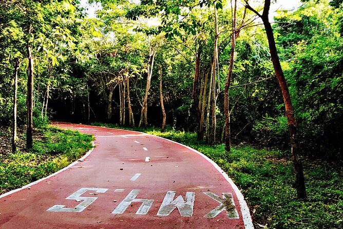 Ixtapa bike tour - A Complete Breakdown of the Ixtapa Bike Tour Experience