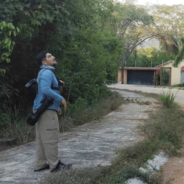 Ixtapa: Bird Watching Tour with Round-Trip Transportation - The Details That Matter