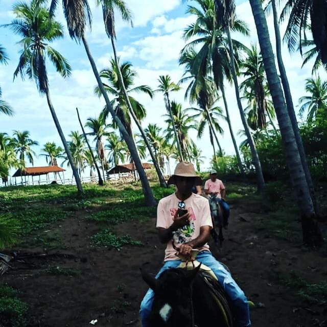 Ixtapa: Horseback Riding Tour Along Playa Larga - What Travelers Say