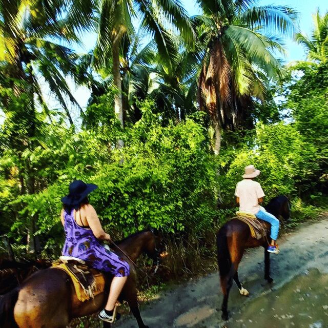 Ixtapa: Horseback Riding Tour Along Playa Larga - The Sum Up