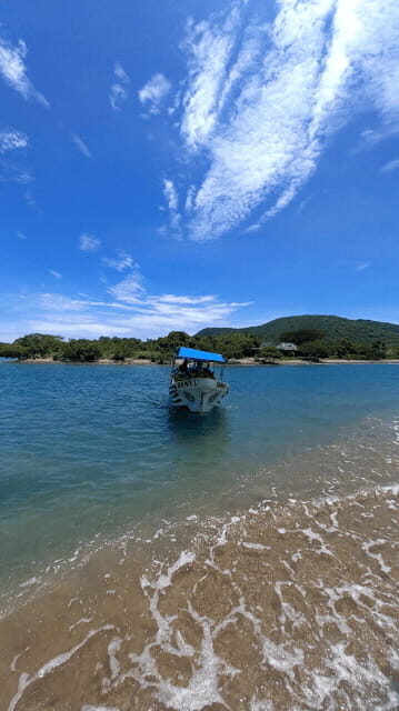 Ixtapa: Las Gatas Beach Adventure - Exploring Paseo del Pescador