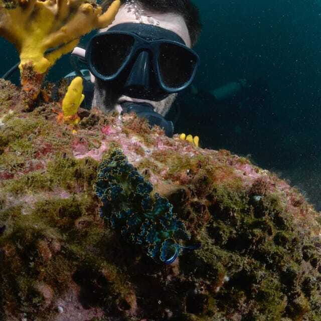 Ixtapa: Nighttime Underwater Exploration at Piedra Solitaria - Frequently Asked Questions