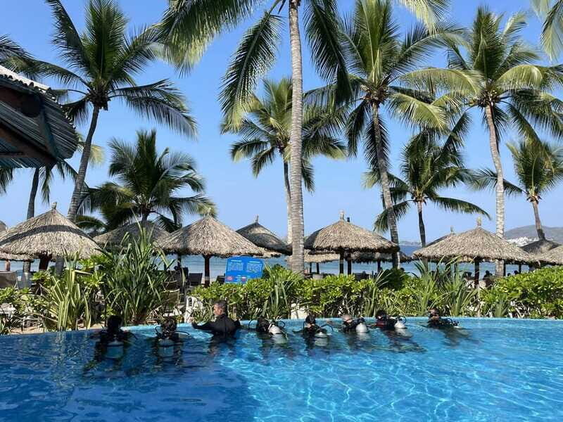 Ixtapa: Open Water Diver Course - Authentic Experiences and Traveler Insights