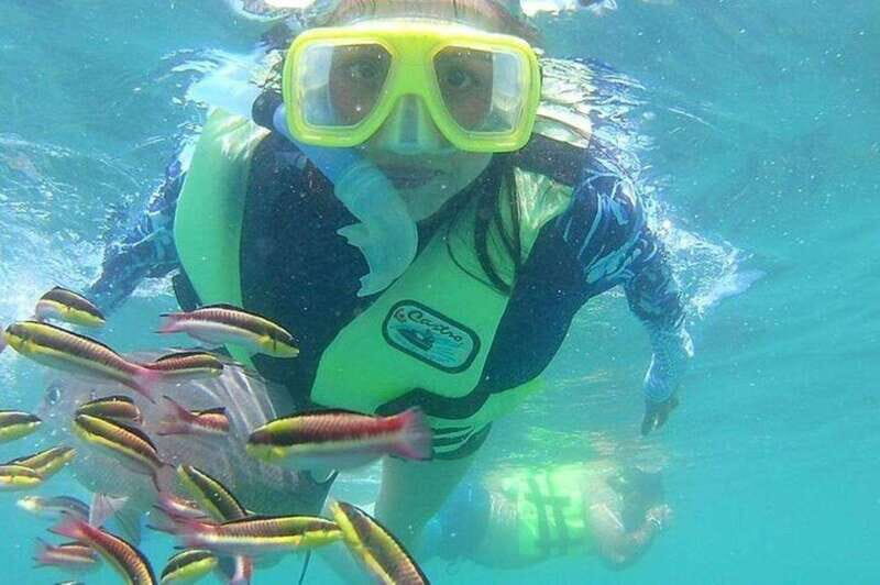Ixtapa: Snorkeling Tour to Ixtapa Island - FAQ