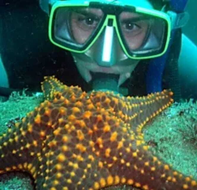 Ixtapa: Underwater Adventures in Zihuatanejo - Who Should Consider This Tour?