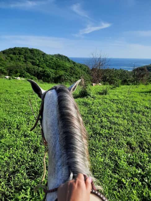 Ixtapa-Zihuatanejo: Horseback Riding Tour - The Ride Itself: What to Expect