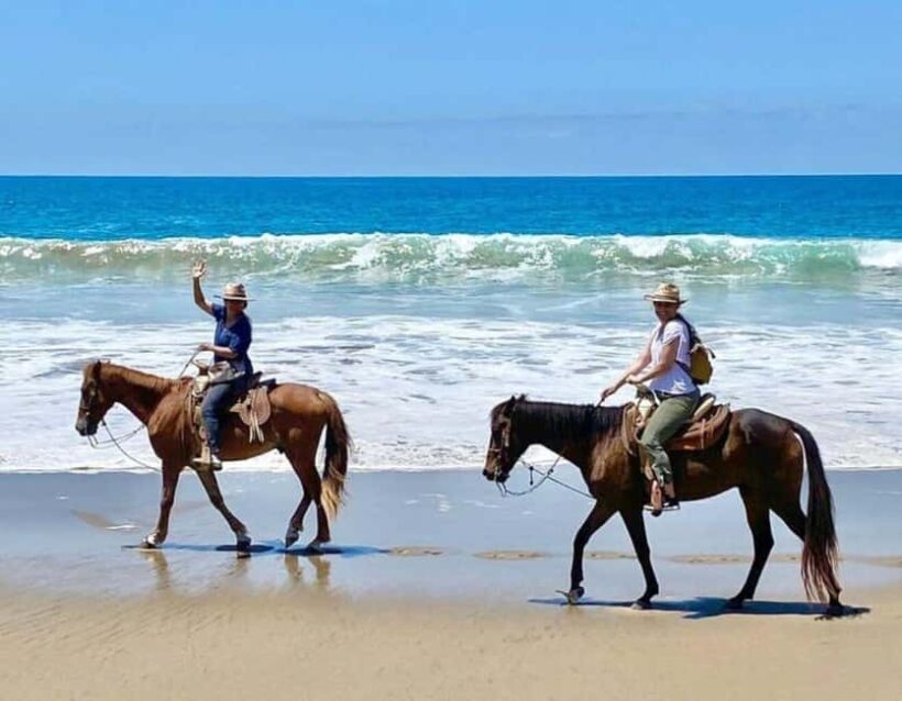 Ixtapa-Zihuatanejo: Horseback Riding Tour - The Practical Side: Details and Tips