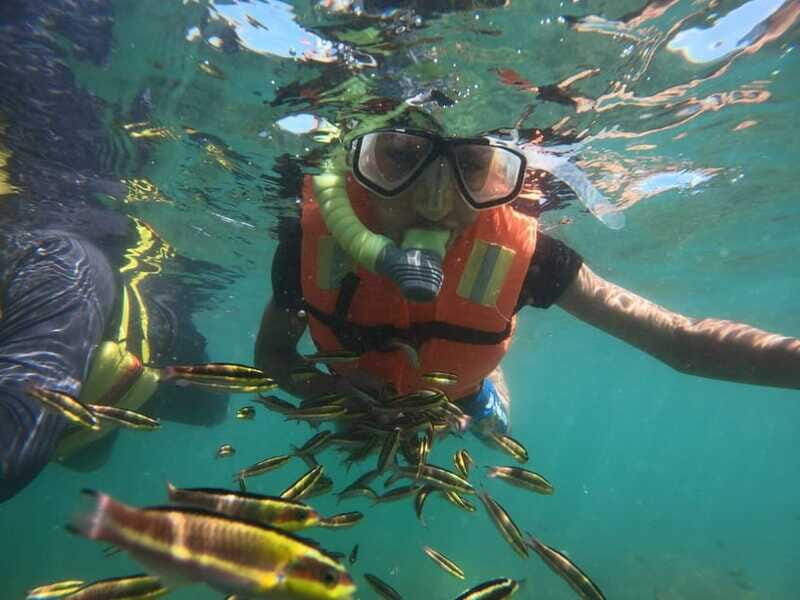 Ixtapa-Zihuatanejo: Island of Ixtapa Day Trip with Lunch - The Sum Up: Why Choose the Ixtapa Island Day Trip?