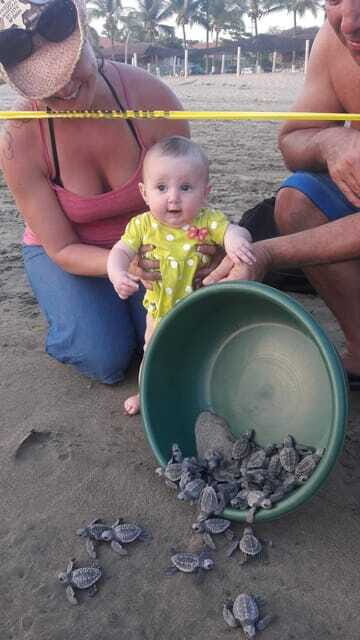 Ixtapa-Zihuatanejo: Turtle Release Tour. - Practical Considerations