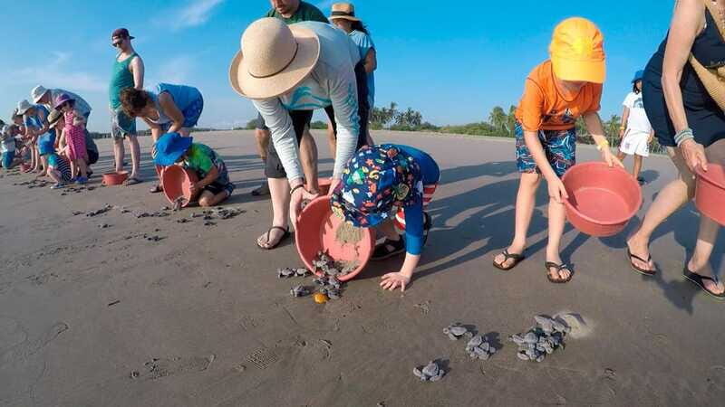 Ixtapa-Zihuatanejo: Turtle Release Tour. - Final Thoughts