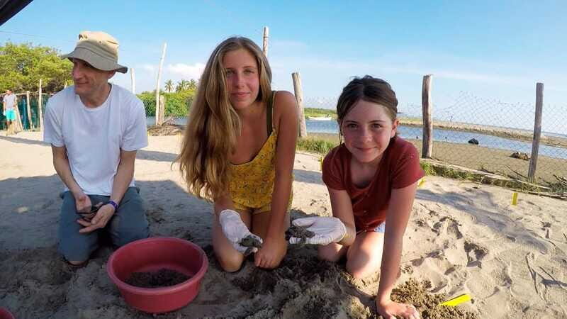 Ixtapa-Zihuatanejo: Turtle Release Tour. - FAQs