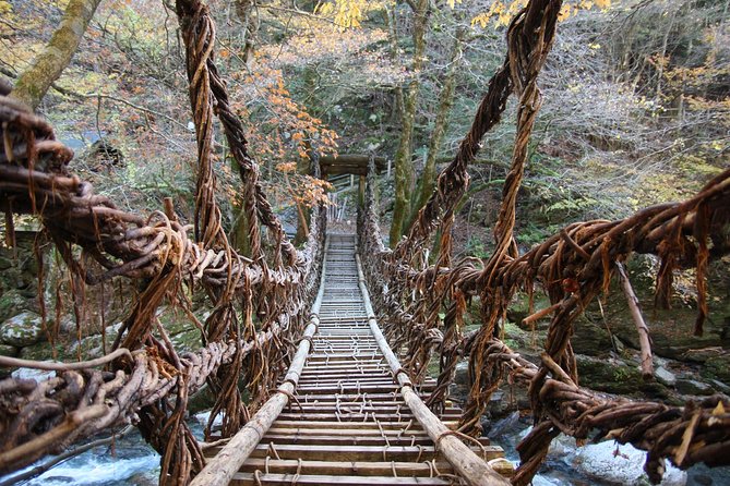 Iya Valley All Must-Sees Private Chauffeur Half-Day Tour With a Driver - Exploring the Vine Bridges of Iya Valley
